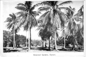 Historic Darwin Postcard
