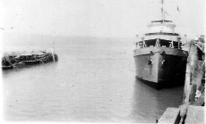 Historic Darwin Postcard