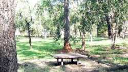 Manton Dam Water Sports and Picnic Park